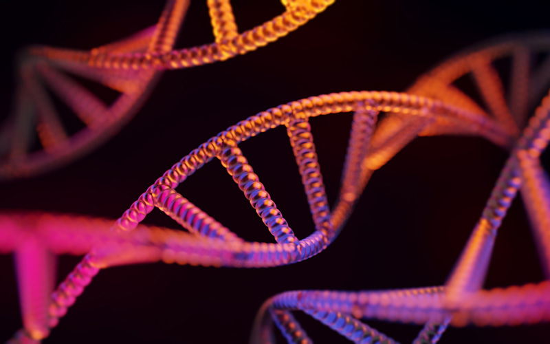 Life Sciences (Meta-Major)